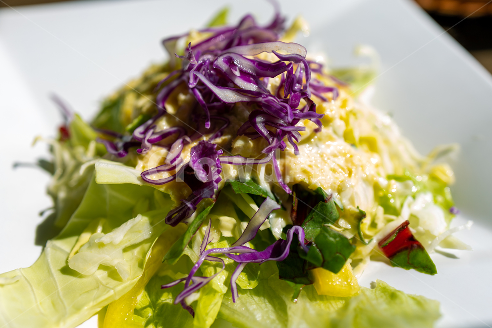 appetizer, background, closeup, cuisine, delicious, 사진,이미지,일러스트,캘리그라피 ...