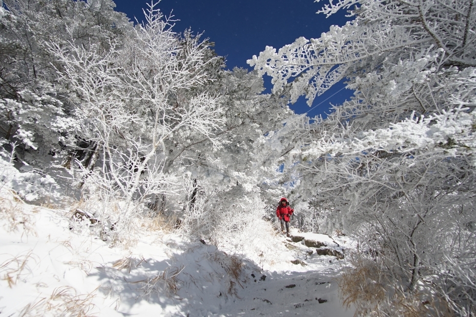 겨울산, 지리산, 겨울산행, 눈꽃, 상고대, 사진,이미지,일러스트,캘리그라피 - 산골마을작가