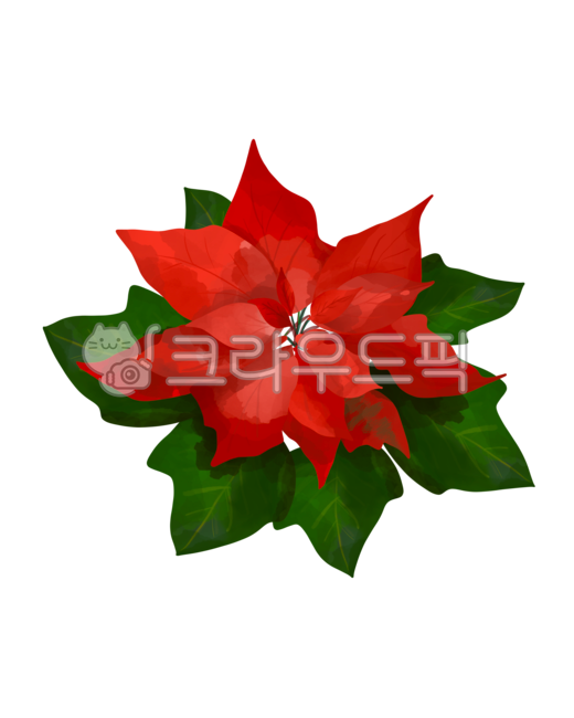 크리스마스, 성탄절, 축하, 성탄축하, 빨강, 사진,이미지,일러스트,캘리그라피 - 오호라좋군작가