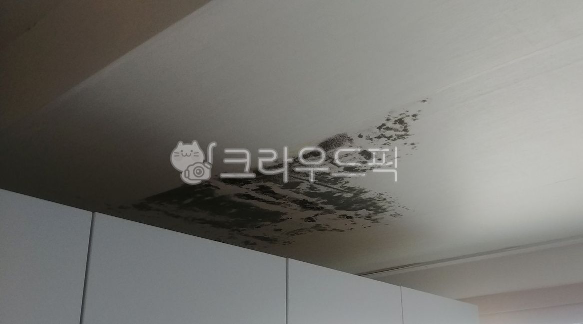 누수, 곰팡이, 천장, 하자, 오염, 사진,이미지,일러스트,캘리그라피 - SeeOn작가