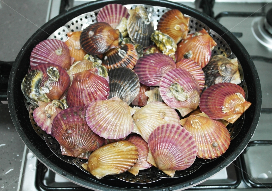 가리비찜, 가리비, 조개, 요리, 찜기, 사진,이미지,일러스트,캘리그라피 - 네티작가