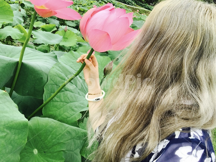 연꽃, 여자옆모습, 부여, lotusflower, girl, 사진,이미지,일러스트,캘리그라피 - yoon rini작가