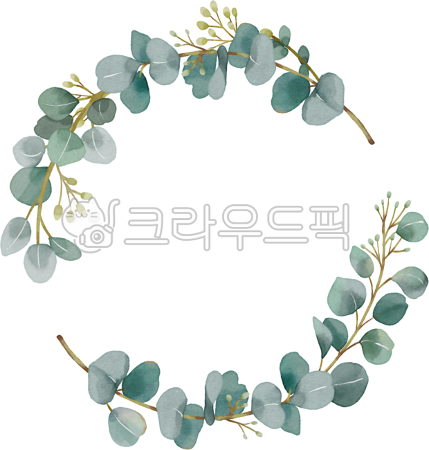 유칼립투스png 유칼립투스잎 유칼립투스수채화 유칼립투스그림 유칼립투스일러스트 사진이미지일러스트캘리그라피 Ok디자인작가