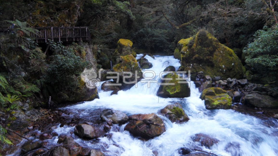 뉴질랜드, 배경, 계곡, 물, 자연, 사진,이미지,일러스트,캘리그라피 - 나비처럼작가