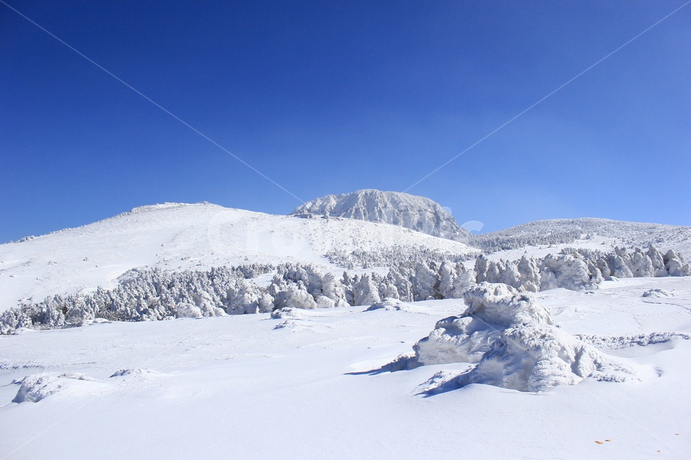 풍경, 한라산, 겨울, 백록담, 눈, 사진,이미지,일러스트,캘리그라피 - 바닷가작가