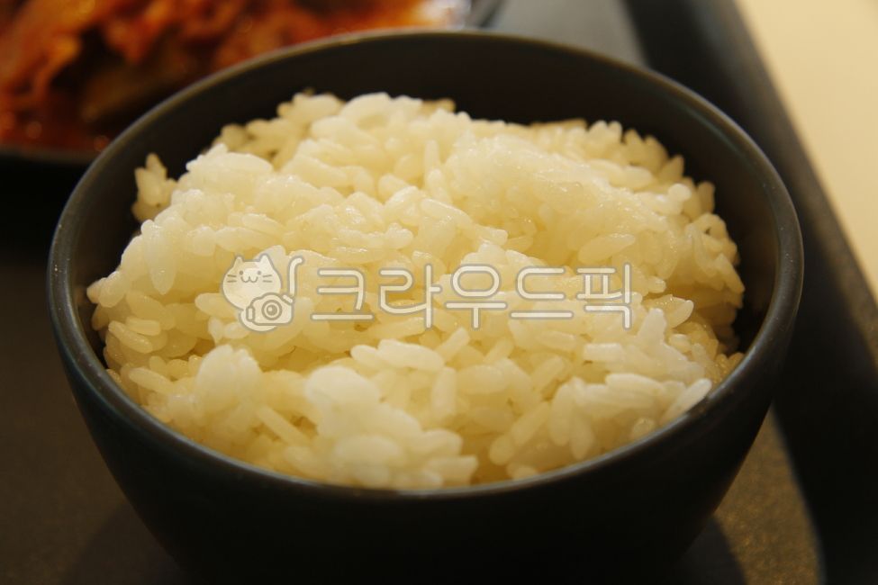 plant, 식물, rice, 쌀, food, 사진,이미지,일러스트,캘리그라피 - 슈렉작가