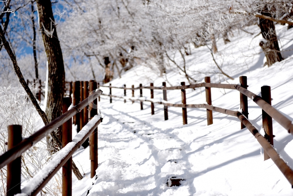 겨울산, 소백산, 설경, 겨울풍경, 등산, 사진,이미지,일러스트,캘리그라피 - Nzluryz작가
