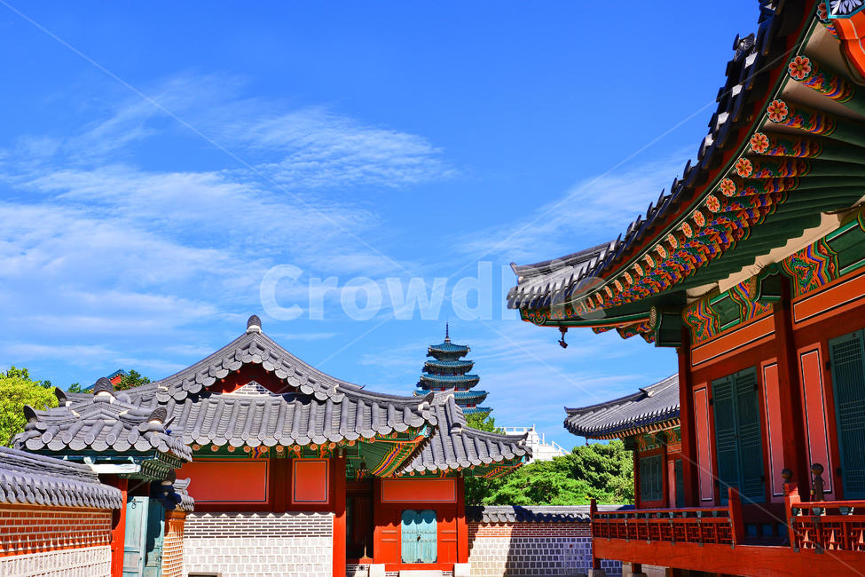 전통, 고궁, 경복궁, 박물관, 문화, 사진,이미지,일러스트,캘리그라피 - space작가