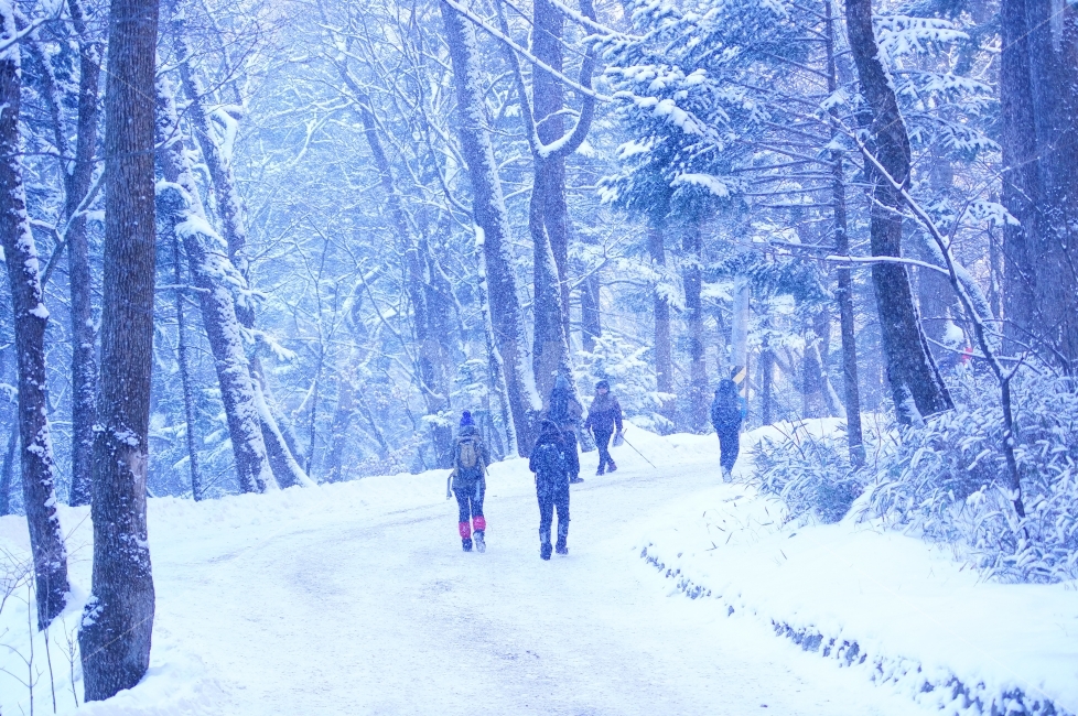 풍경, 눈, 겨울산, 등산, 오대산, 사진,이미지,일러스트,캘리그라피 - 금동이작가
