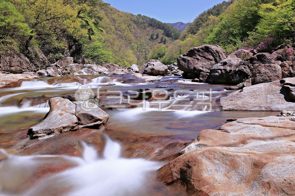 지리산국립공원, 지리산, 의신계곡, 봄, 계곡, 사진,이미지,일러스트,캘리그라피 - 에레스뚜작가