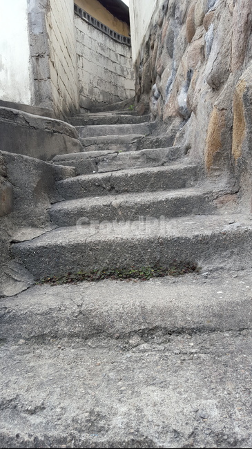 계단, 시멘트계단, 풀, 시멘트사이풀, 골목계단, 사진,이미지,일러스트,캘리그라피 - JANE BAE작가