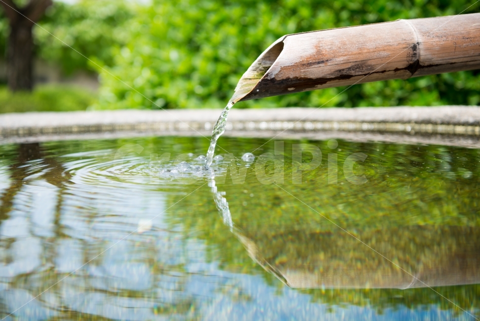 약수, 약숫물, 샘, 옹달샘, 샘물, 사진,이미지,일러스트,캘리그라피 - 해온작가