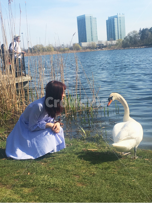 bird, person, 사람, 새, animal, 사진,이미지,일러스트,캘리그라피 - 히니힌작가