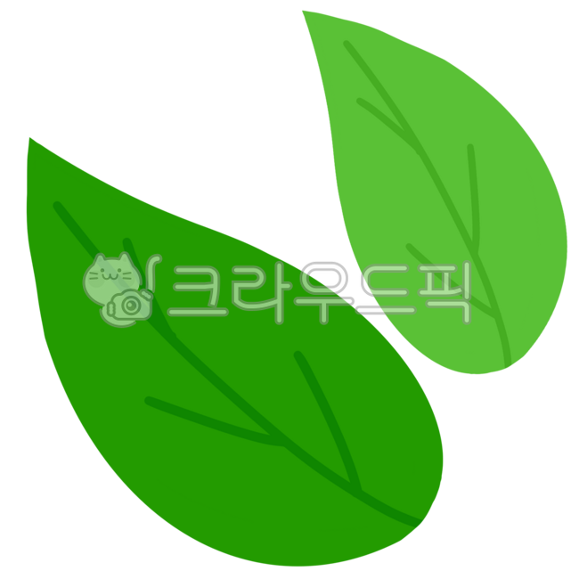 나뭇잎, 나뭇잎일러스트, 나뭇잎그림, 나뭇잎요소, 나뭇잎모양, 사진,이미지,일러스트,캘리그라피 - 효푸작가