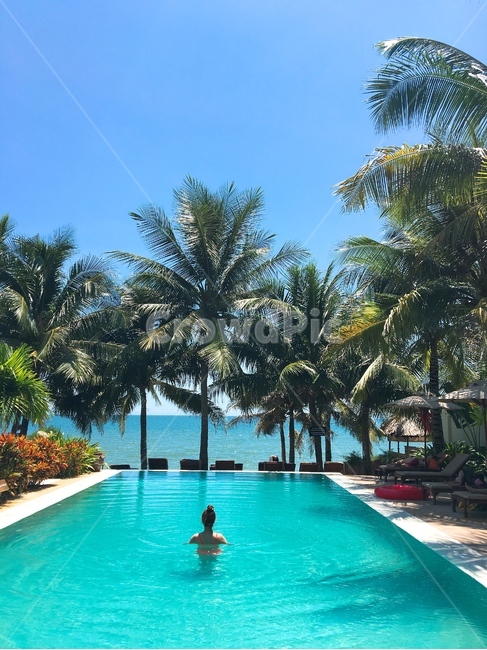 휴양, 수영장, 야자수, 리조트, 풀, 사진,이미지,일러스트,캘리그라피 - dydydy작가