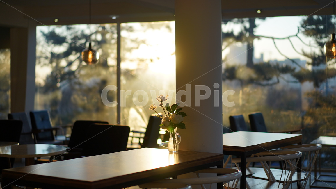 인테리어, 배경, 아름다움, 이쁨, 카페, 사진,이미지,일러스트,캘리그라피 - leejack작가