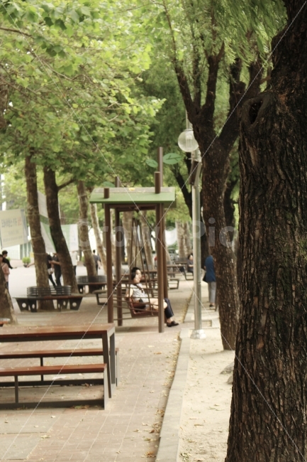인하대학교, 대학교, 교정, 쉼, 휴식, 사진,이미지,일러스트,캘리그라피 - Memory727작가