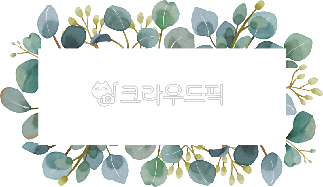 유칼립투스png 유칼립투스잎 유칼립투스수채화 유칼립투스그림 유칼립투스일러스트 사진이미지일러스트캘리그라피 Ok디자인작가