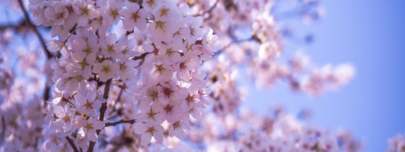 로피 Lophy 작가 - 크라우드픽의 사진, 이미지, 일러스트, 캘리그라피
