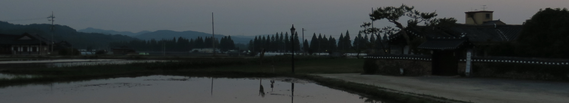 4pril 작가 - 크라우드픽의 사진, 이미지, 일러스트, 캘리그라피