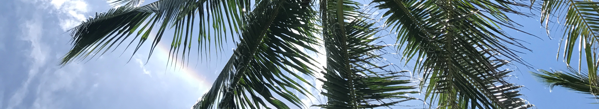 9yu_6in 작가 - 크라우드픽의 사진, 이미지, 일러스트, 캘리그라피