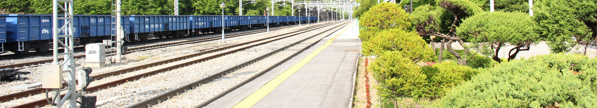 Dalnim 작가 - 크라우드픽의 사진, 이미지, 일러스트, 캘리그라피