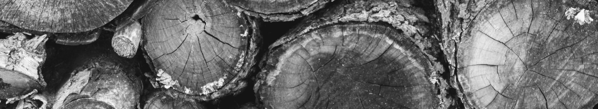 Jake street 작가 - 크라우드픽의 사진, 이미지, 일러스트, 캘리그라피