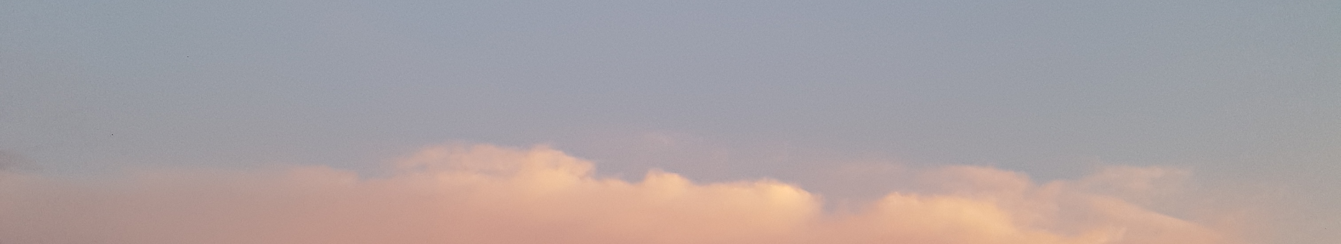 lilyK 작가 - 크라우드픽의 사진, 이미지, 일러스트, 캘리그라피