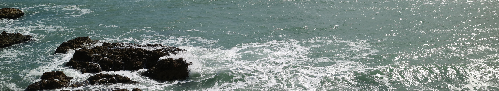 Ceptra 작가 - 크라우드픽의 사진, 이미지, 일러스트, 캘리그라피