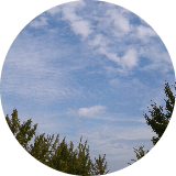 Jade Choi 작가 - 크라우드픽의 사진, 이미지, 일러스트, 캘리그라피